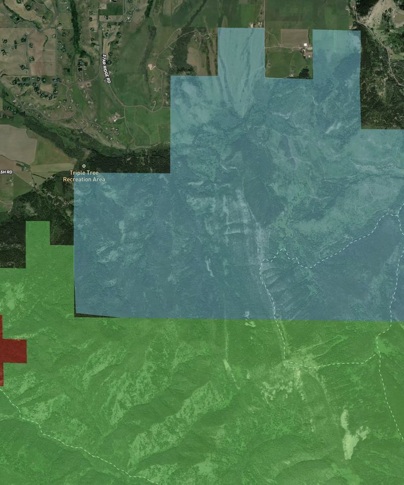 Basemap & overlays | Dynamic Overlays to Enhance Your Mapping Experience